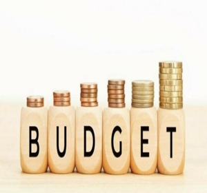 Govt slashes total budget outlay by 7% to Rs17.57tr