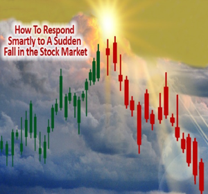 How To Respond Smartly to A Sudden Fall in the Stock Market
