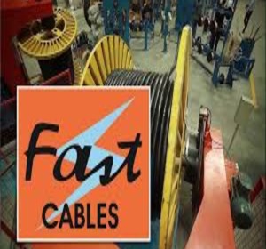 Fast Cables profit slips 33%