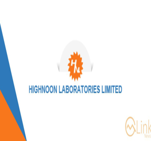 HINOON delivers positive half-year financial performance