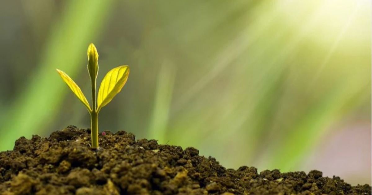 NEC greenlights FY27 Macro Framework